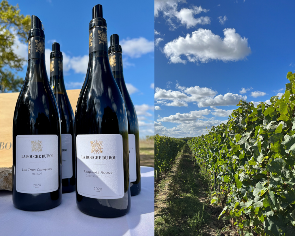 Mangez et buvez Ile-de-France ! avec la Bouche du Roi - Le Vin Qui ...