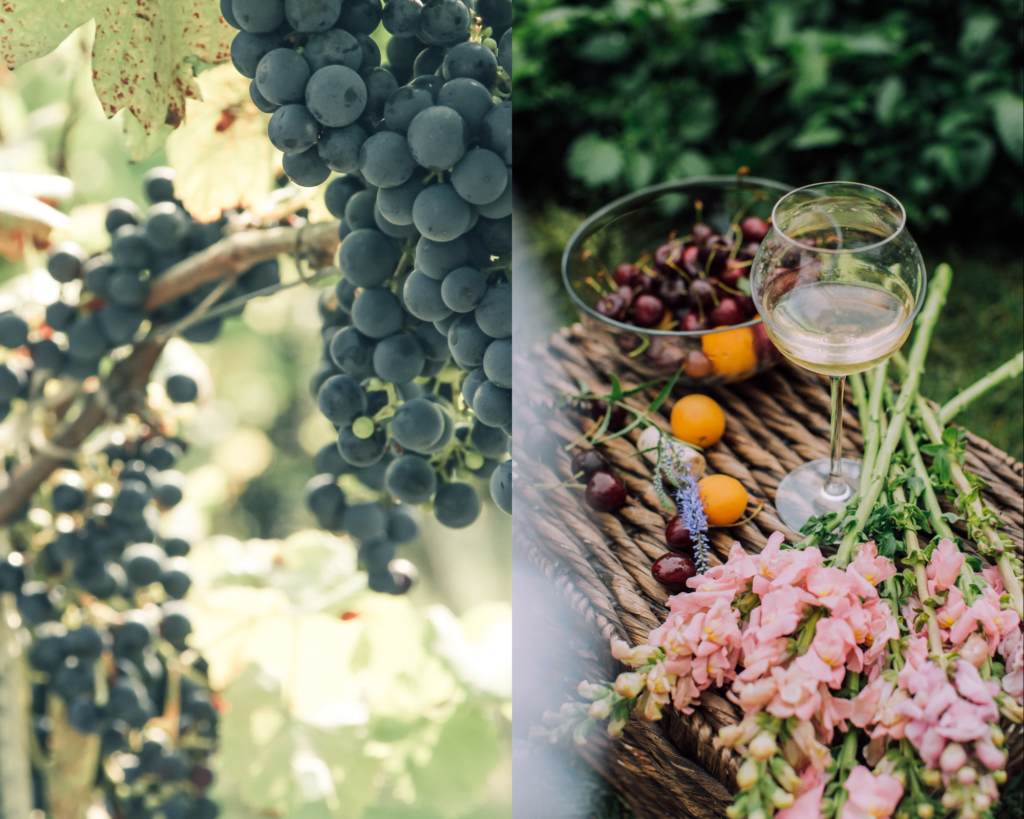 Soirée dégustation : Vins Natures vs Vins Bios et Biodynamiques - mardi ...